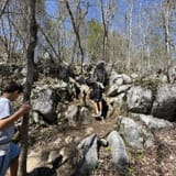 Buggytop Trail to Lost Cove Cave, Tennessee - 773 Reviews, Map | AllTrails