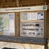 Buggytop Trail to Lost Cove Cave, Tennessee - 773 Reviews, Map | AllTrails
