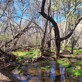 Parsons Trail, Arizona - 745 Reviews, Map | AllTrails