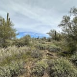Apache Wash Loop Trail, Arizona - 2,033 Reviews, Map | AllTrails