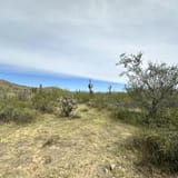 Apache Wash Loop Trail, Arizona - 2,033 Reviews, Map | AllTrails
