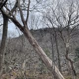 Hawksbill Loop Trail, Virginia - 4,216 Reviews, Map | AllTrails