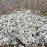 Hawksbill Loop Trail, Virginia - 4,216 Reviews, Map | AllTrails