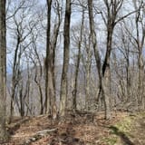 Hawksbill Loop Trail, Virginia - 4,240 Reviews, Map | AllTrails