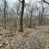 Hawksbill Loop Trail, Virginia - 4,216 Reviews, Map | AllTrails