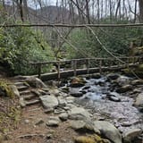 Maddron Bald Trail to Albright Grove Loop, Tennessee - 1,024 Reviews ...