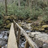 Maddron Bald Trail to Albright Grove Loop, Tennessee - 1,024 Reviews ...