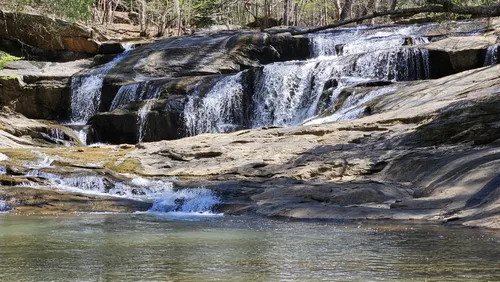 Best Forest Trails in Olde Rope Mill Park | AllTrails