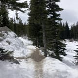 Sprague Lake Loop, Colorado - 2,699 Reviews, Map | AllTrails