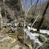 Buggytop Trail to Lost Cove Cave, Tennessee - 773 Reviews, Map | AllTrails