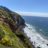 Point Dume Cove Trail, California - 1,647 Reviews, Map | AllTrails
