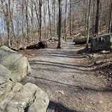 Seneca Rocks Trail, West Virginia - 2,769 Reviews, Map | AllTrails