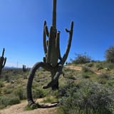 Balanced Rock via Bootlegger, Saddlehorn and Granite Mtn Trail, Arizona ...