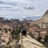 Many Pools Trail, Utah - 1,389 Reviews, Map | AllTrails