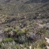 Wild Burro Loop via Tortolita Mountain Trailhead, Arizona - 434 Reviews ...