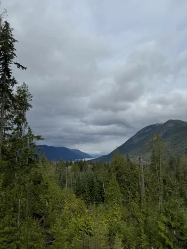 Best Hikes and Trails in Sechelt Heritage Forest Recreation Site ...