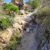 Romero Canyon Trail to Romero Pools, Arizona - 3,757 Reviews, Map ...