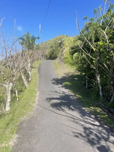 Best Hikes and Trails in Toro Negro State Forest | AllTrails