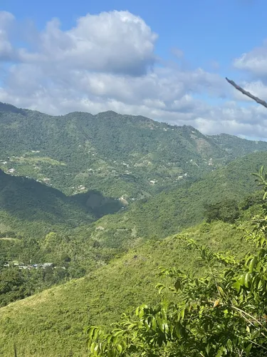 Best Hikes and Trails in Toro Negro State Forest | AllTrails