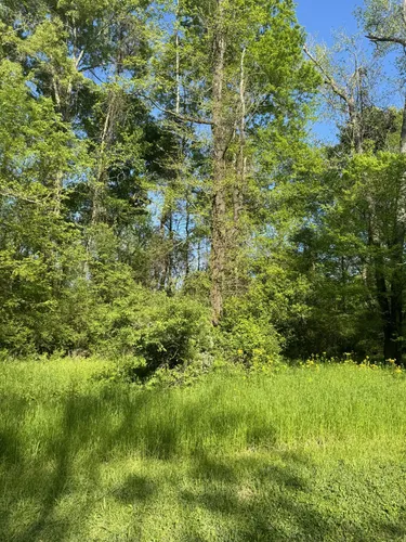 Best Hikes and Trails in Paul G Boorman Trail Park | AllTrails