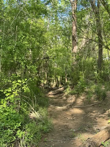 Best Hikes and Trails in Paul G Boorman Trail Park | AllTrails