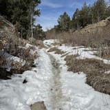 Rim Rock Trail, Colorado - 469 Reviews, Map | AllTrails