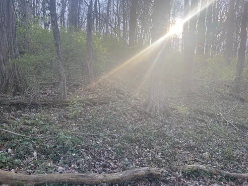 Best Hikes and Trails in Stanberry Park | AllTrails