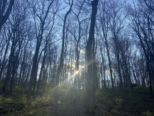 Best Hikes and Trails in Stanberry Park | AllTrails