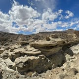 Wiregrass Canyon, Utah - 159 Reviews, Map | AllTrails