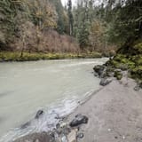 Lime Kiln Trail, Washington - 2,693 Reviews, Map | AllTrails