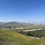 Mount Rubidoux Trail, California - 5,753 Reviews, Map | AllTrails