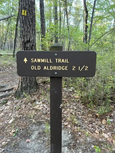 Best Hikes and Trails in Angelina National Forest | AllTrails