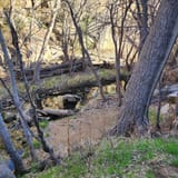 Flume Trail and Watson Lake Loop, Arizona - 706 Reviews, Map | AllTrails