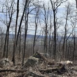 Appalachian Trail: Keys Gap to David Lesser Memorial Shelter, West ...