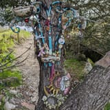 Albany Bulb, California - 393 Reviews, Map | AllTrails