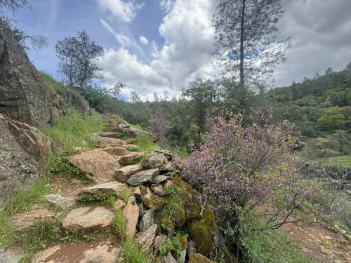 Best Kid Friendly Trails in Hidden Falls Regional Park | AllTrails