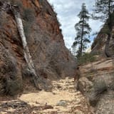 Checkerboard Mesa Canyon Trail, Utah - 197 Reviews, Map | AllTrails