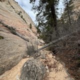 Checkerboard Mesa Canyon Trail, Utah - 197 Reviews, Map | AllTrails