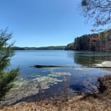 Honeycomb Trail, Alabama - 164 Reviews, Map | AllTrails