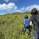 Corral Canyon Loop, California - 1,733 Reviews, Map | AllTrails