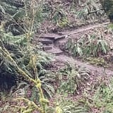 Puyallup Loop Trail, Washington - 1,179 Reviews, Map | AllTrails