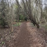 Puyallup Loop Trail, Washington - 1,314 Reviews, Map | AllTrails