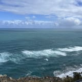 Mercer Bay Loop Track, Auckland, New Zealand - 634 Reviews, Map | AllTrails