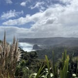 Mercer Bay Loop Track, Auckland, New Zealand - 634 Reviews, Map | AllTrails