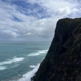 Mercer Bay Loop Track, Auckland, New Zealand - 634 Reviews, Map | AllTrails