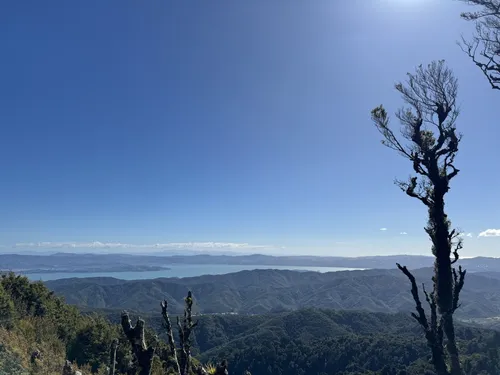 Best Camping Trails in Remutaka Forest Park | AllTrails