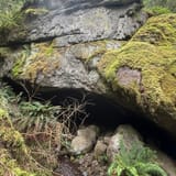 Santiam Wagon Road to House Rock, Oregon - 486 Reviews, Map | AllTrails