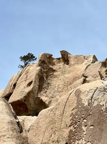 Best Hikes and Trails in Jacumba Wilderness Area | AllTrails