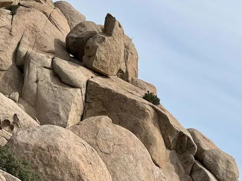 Best Hikes and Trails in Jacumba Wilderness Area | AllTrails