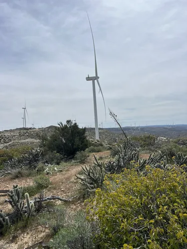 Best Hikes and Trails in Jacumba Wilderness Area | AllTrails